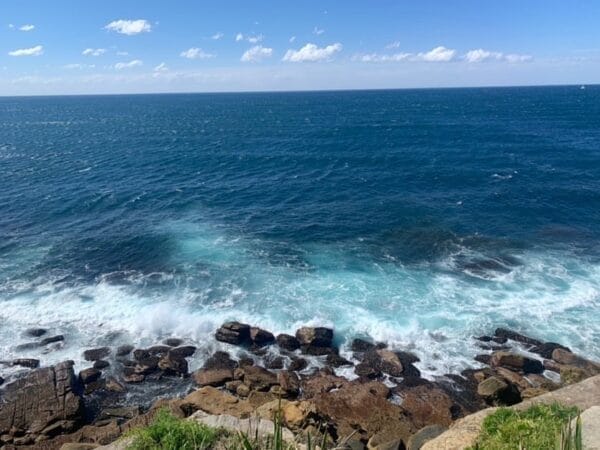 Best Walks on the Northern Beaches – Scenic Trails to Explore